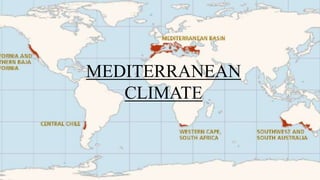 World climate regions | PPTX