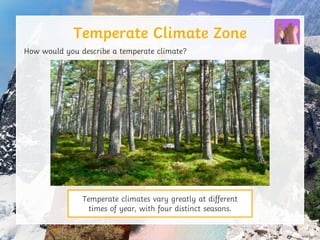 World Climate Zones Presentation.For primary educationpt | PPT