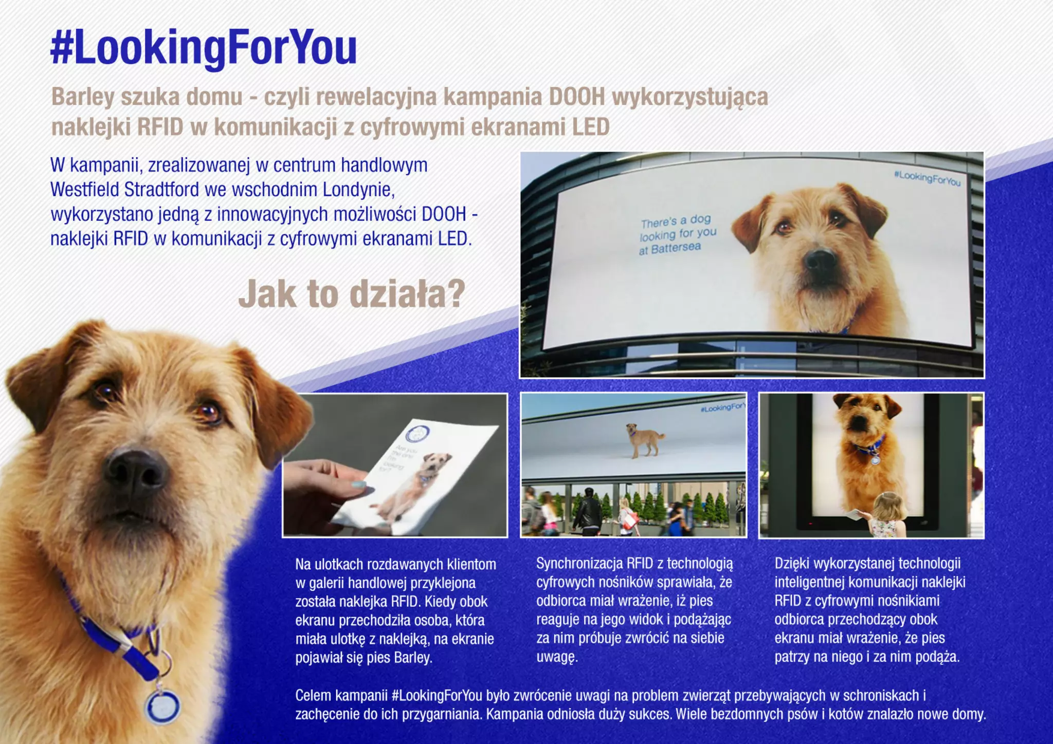 World DOOH campaign cases | PPT