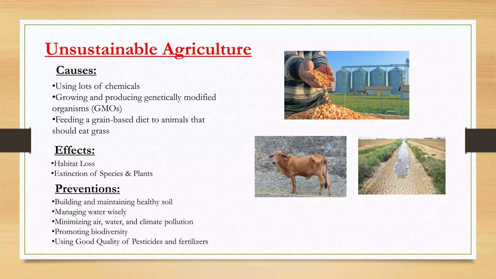World Earth Day PPT 2019 | PPTX