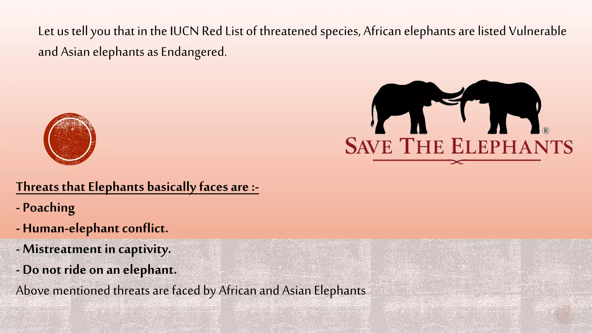 World Elephant Day | PPTX
