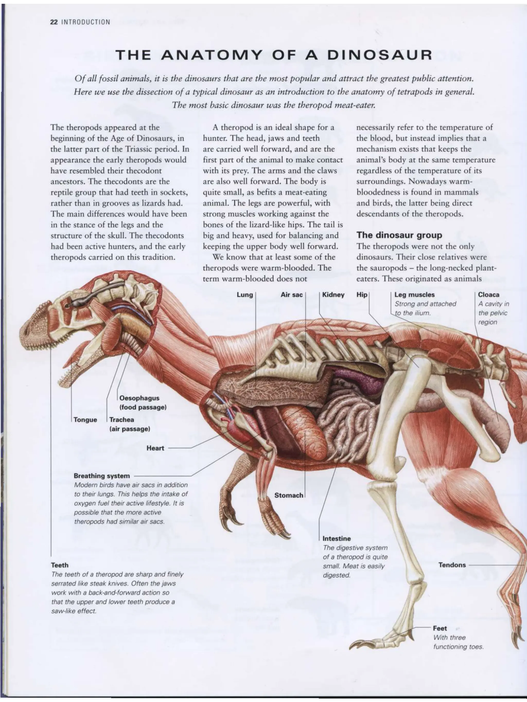 World Encyclopedia of Dinosaurs & Prehistoric Creatures.pdf