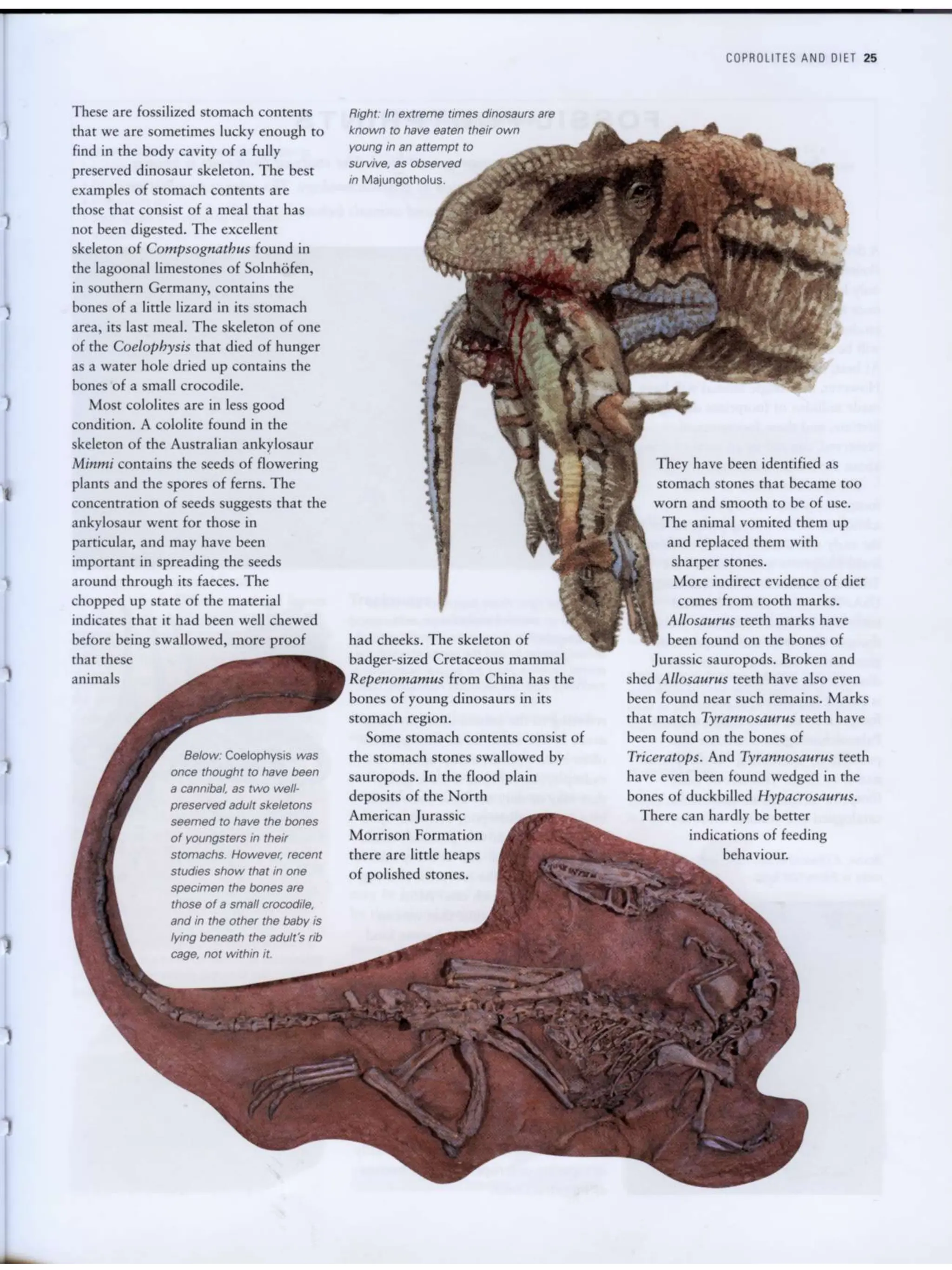 World Encyclopedia of Dinosaurs & Prehistoric Creatures.pdf