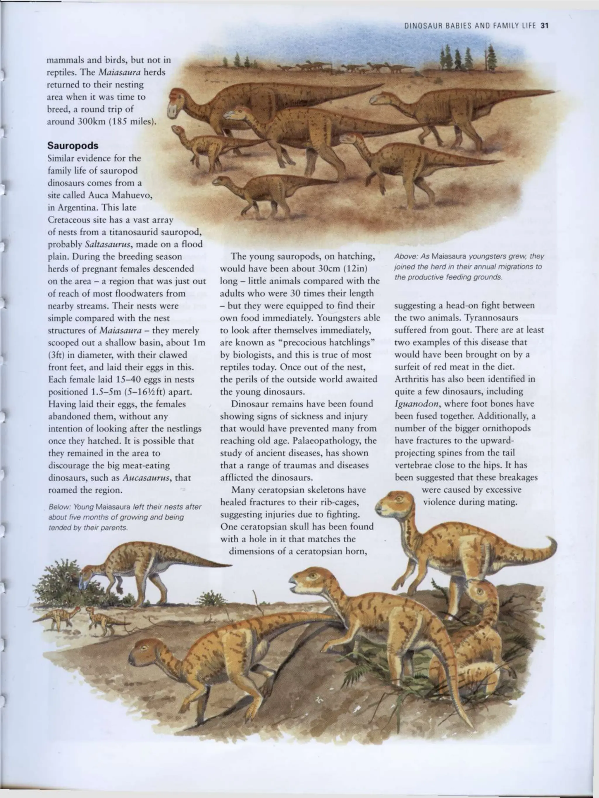 World Encyclopedia of Dinosaurs & Prehistoric Creatures.pdf