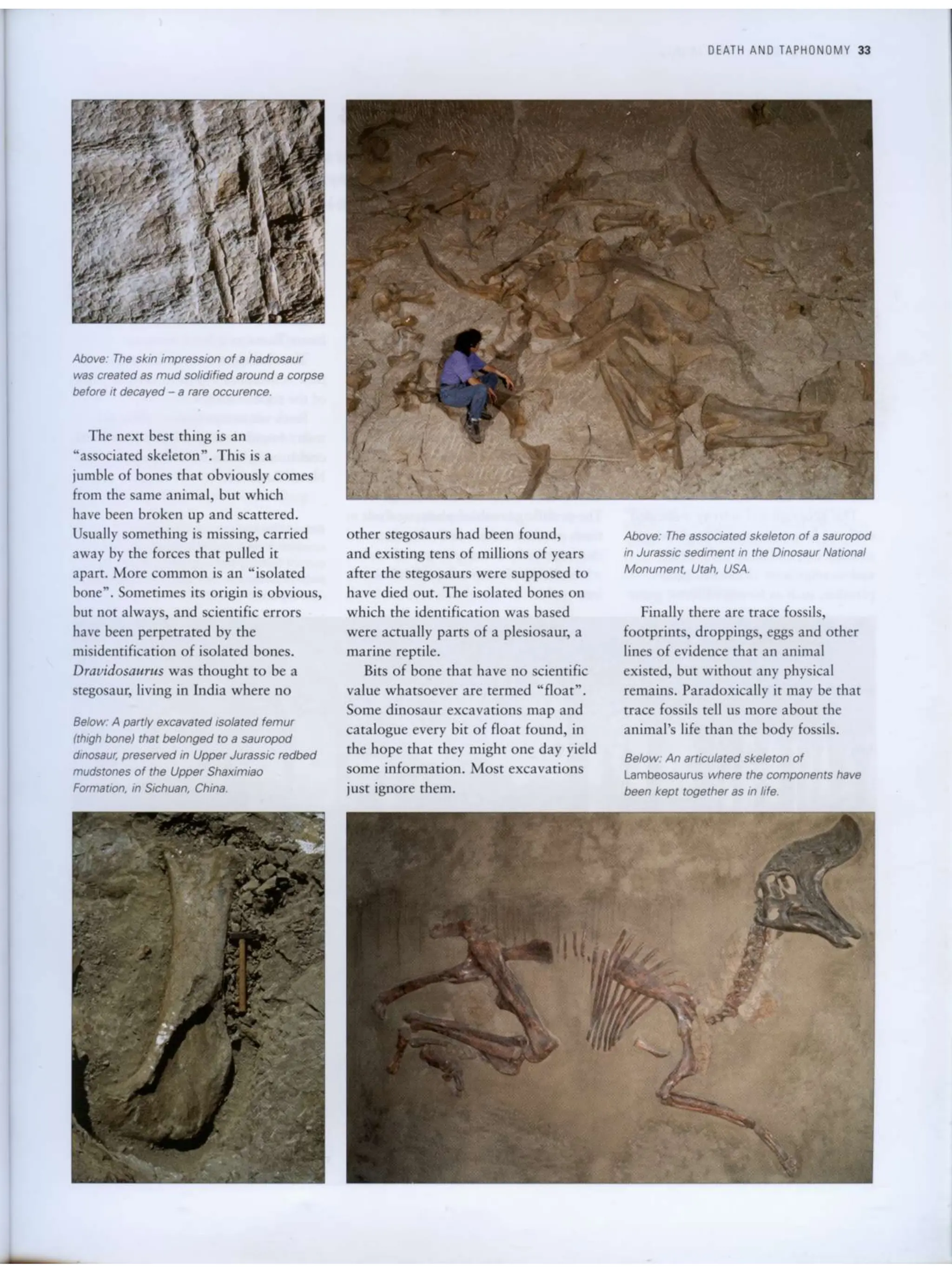 World Encyclopedia of Dinosaurs & Prehistoric Creatures.pdf