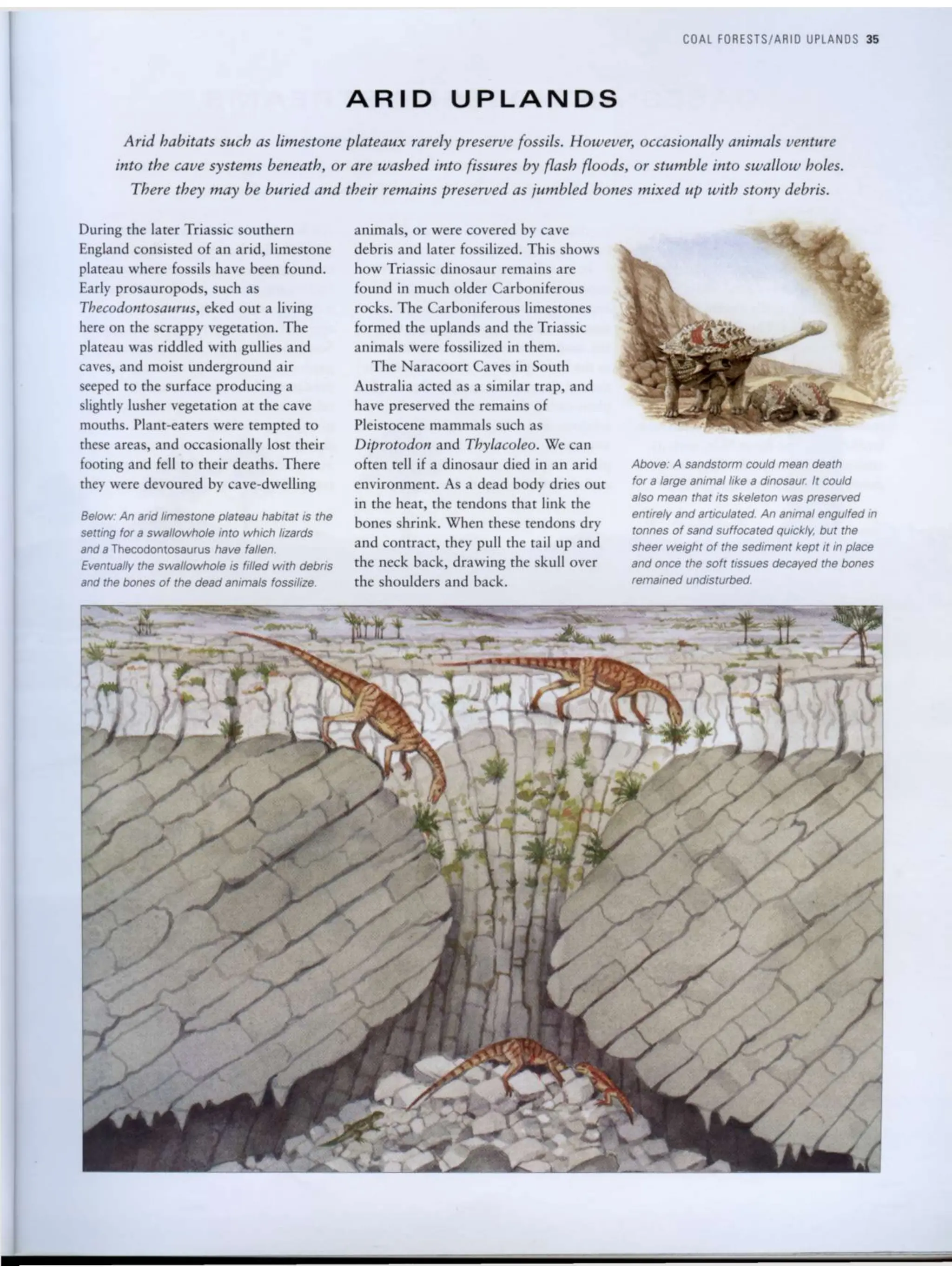 World Encyclopedia of Dinosaurs & Prehistoric Creatures.pdf