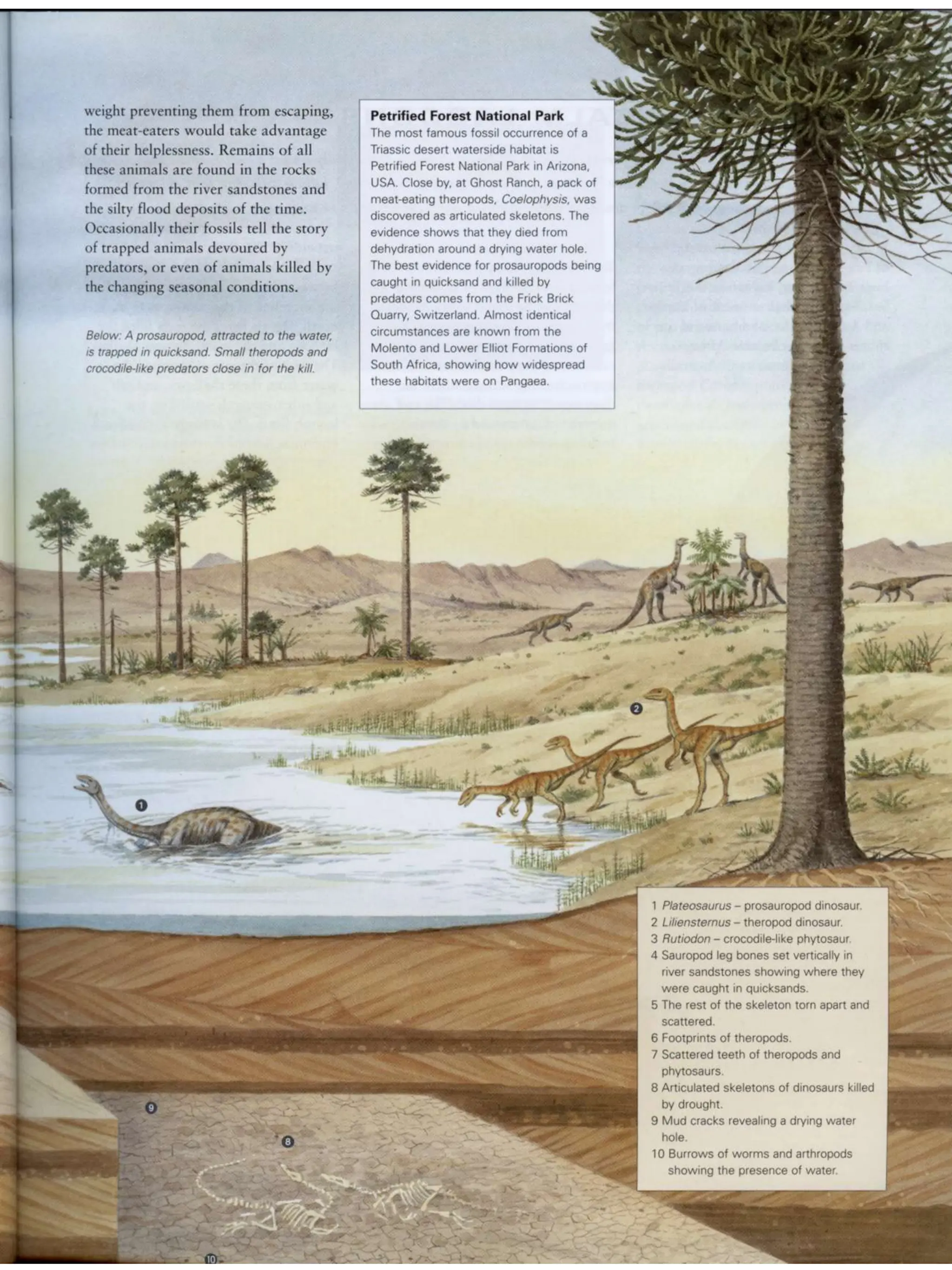 World Encyclopedia of Dinosaurs & Prehistoric Creatures.pdf