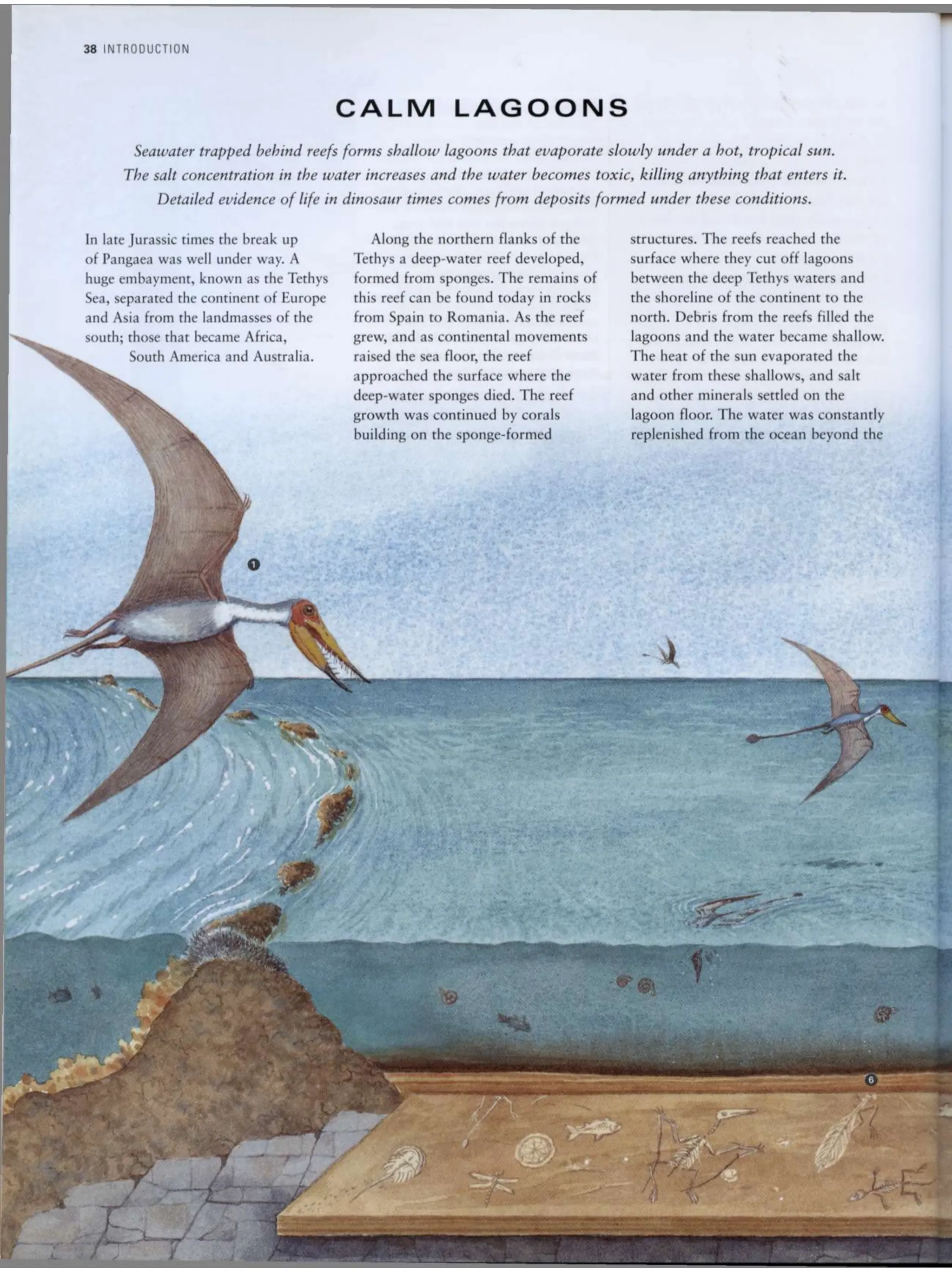 World Encyclopedia of Dinosaurs & Prehistoric Creatures.pdf