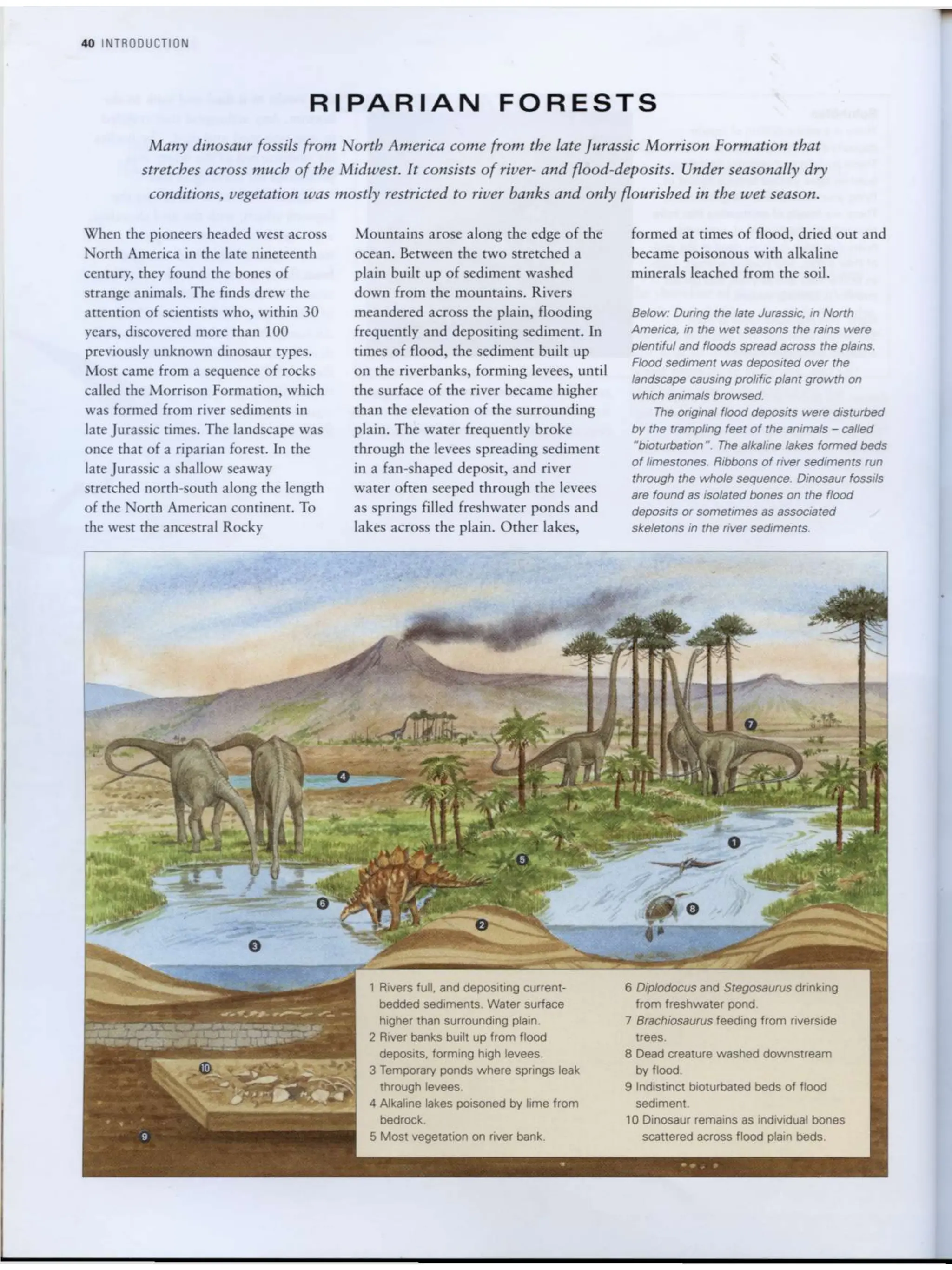 World Encyclopedia of Dinosaurs & Prehistoric Creatures.pdf