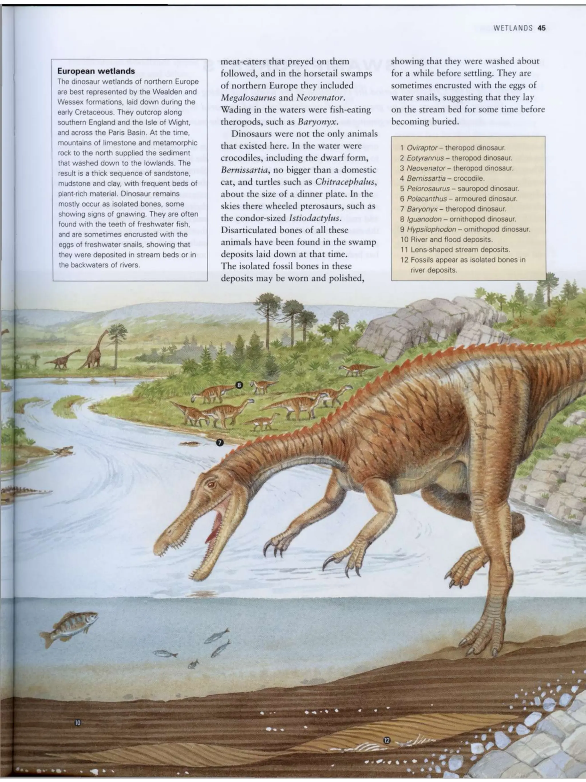 World Encyclopedia of Dinosaurs & Prehistoric Creatures.pdf