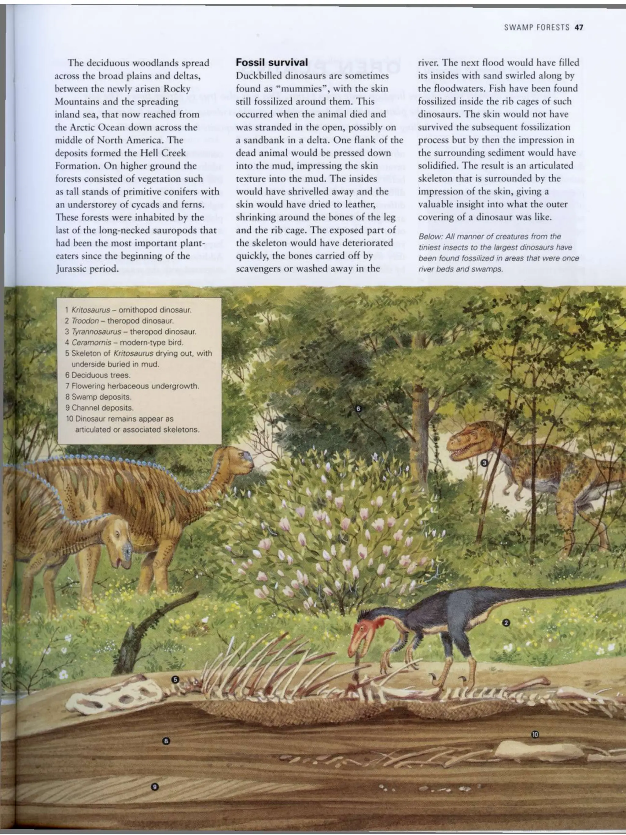 World Encyclopedia of Dinosaurs & Prehistoric Creatures.pdf