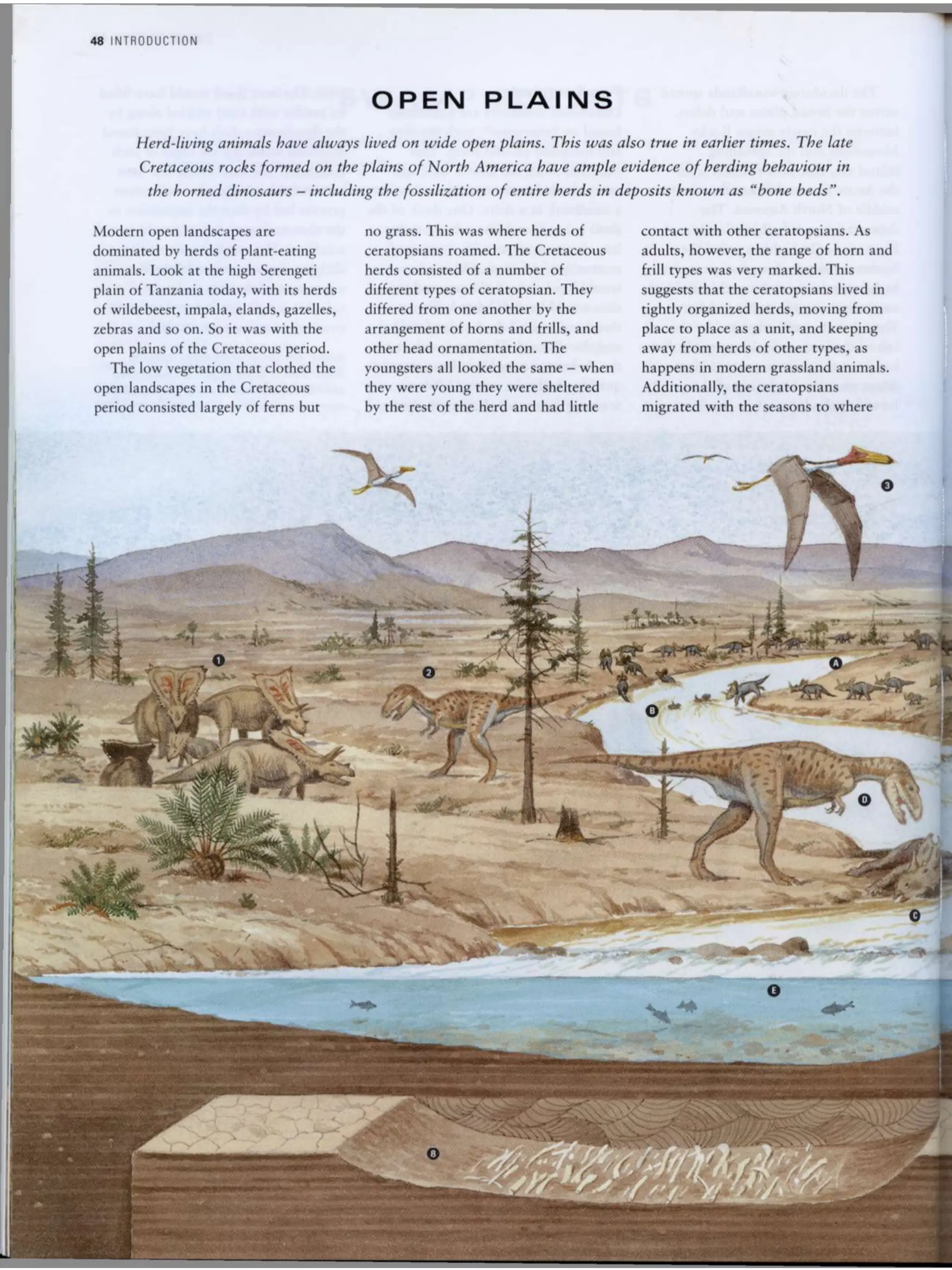 World Encyclopedia of Dinosaurs & Prehistoric Creatures.pdf