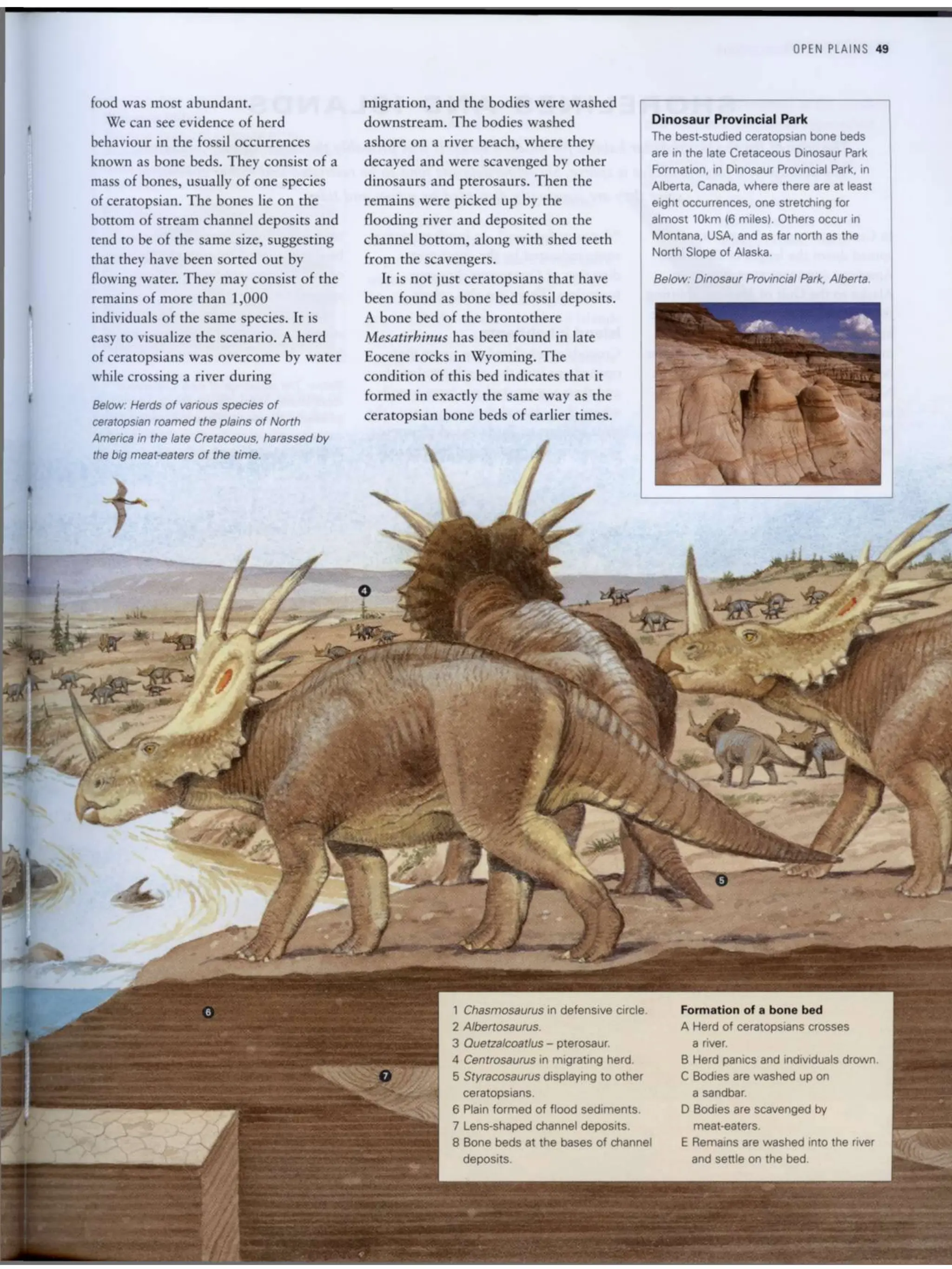 World Encyclopedia of Dinosaurs & Prehistoric Creatures.pdf
