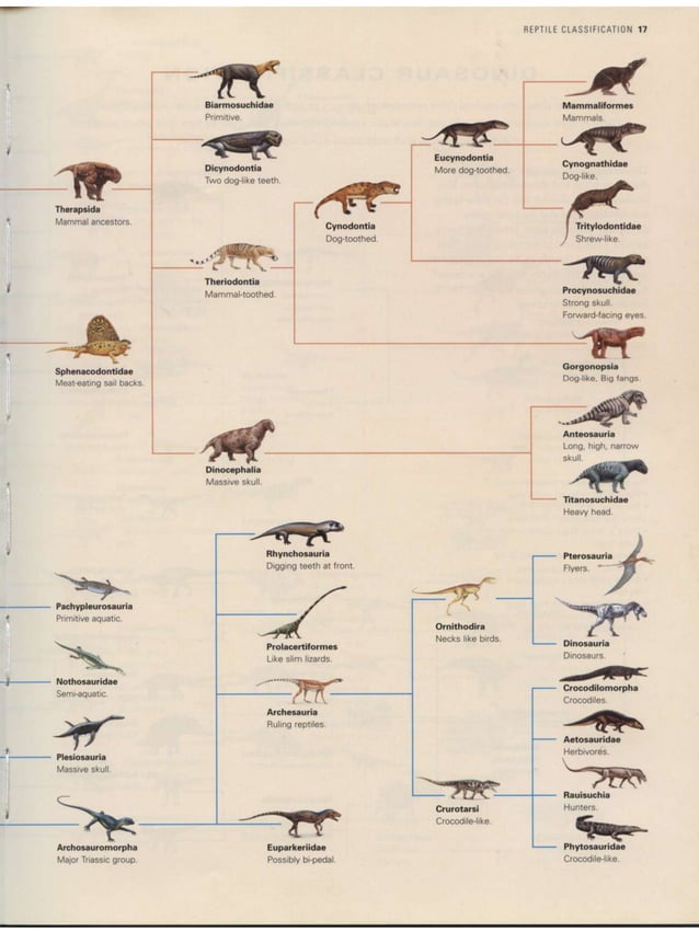 World Encyclopedia of Dinosaurs & Prehistoric Creatures.pdf