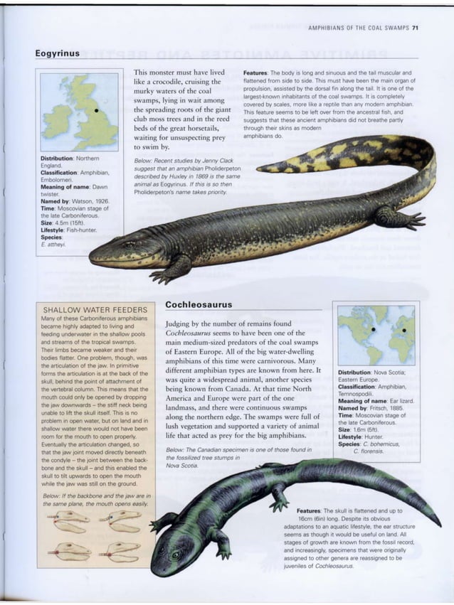 World Encyclopedia of Dinosaurs & Prehistoric Creatures.pdf | Free Download