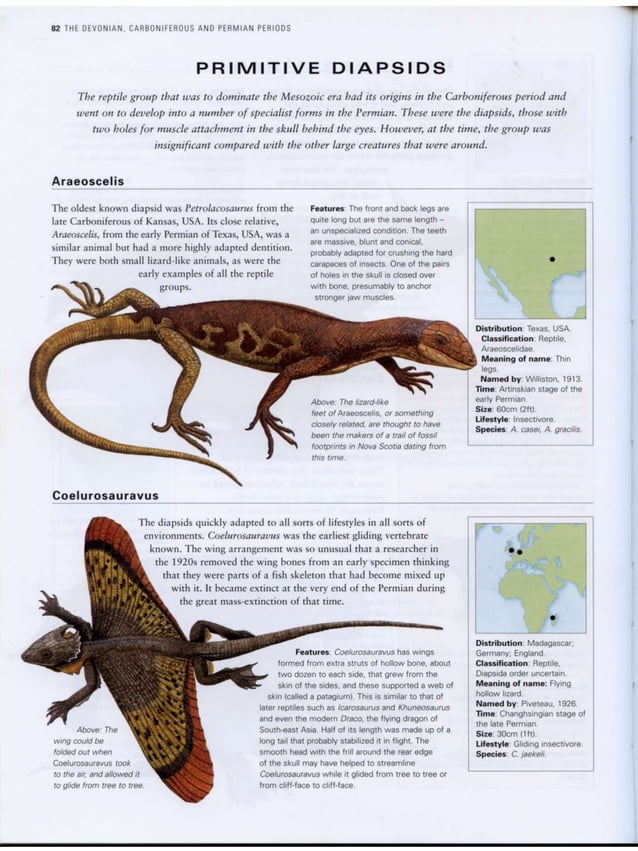 World Encyclopedia of Dinosaurs & Prehistoric Creatures.pdf | Free Download