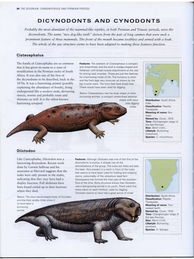 World Encyclopedia of Dinosaurs & Prehistoric Creatures.pdf | Free Download