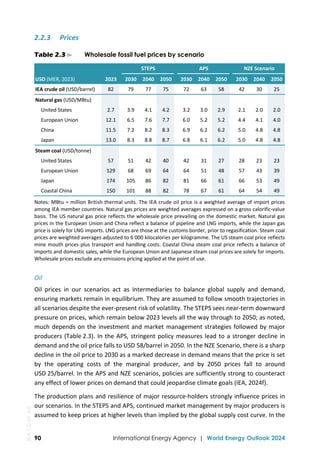 IEA World Energy Outlook 2024 - Report 2024 | PDF