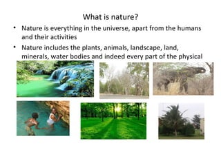 World environment day 2017 | PPT