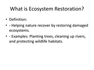 World_Environment_Day_Generation_Restoration.pptx | Environment | Science