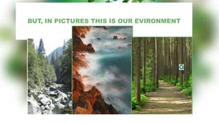 World Environment Day PPT.pptx