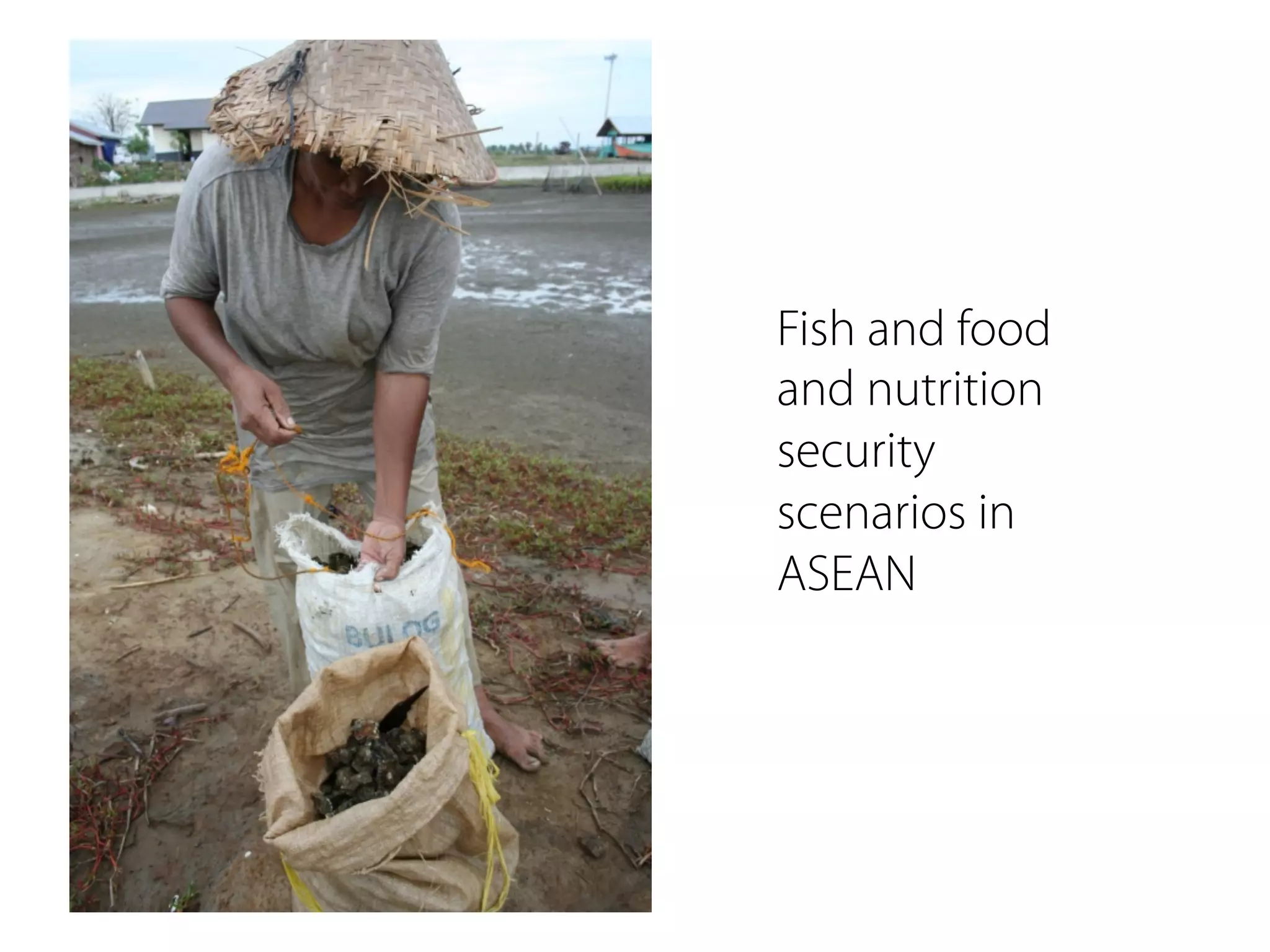 Sustainable development of fish supplies to meet food and nutrition ...