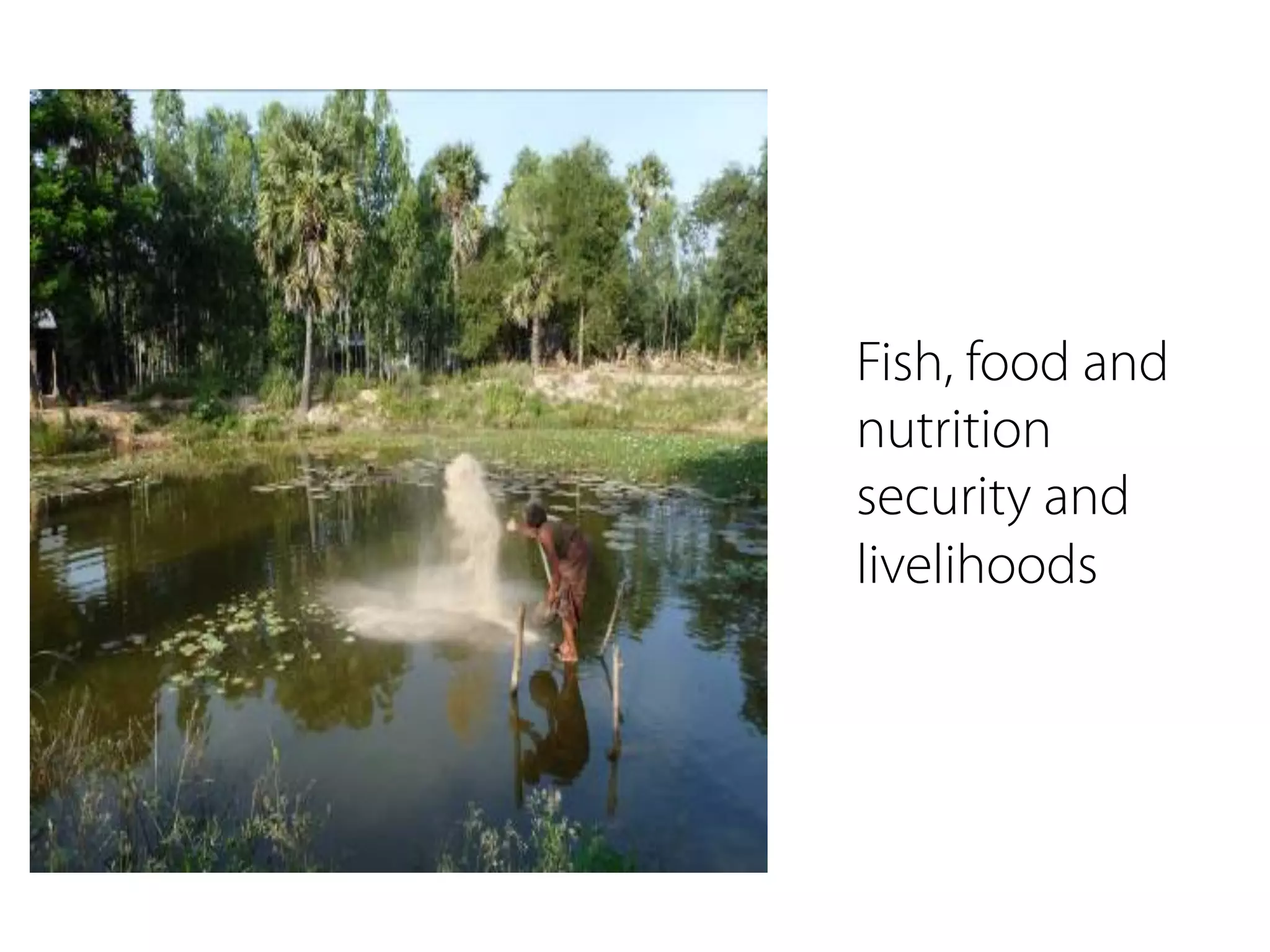 Sustainable development of fish supplies to meet food and nutrition ...