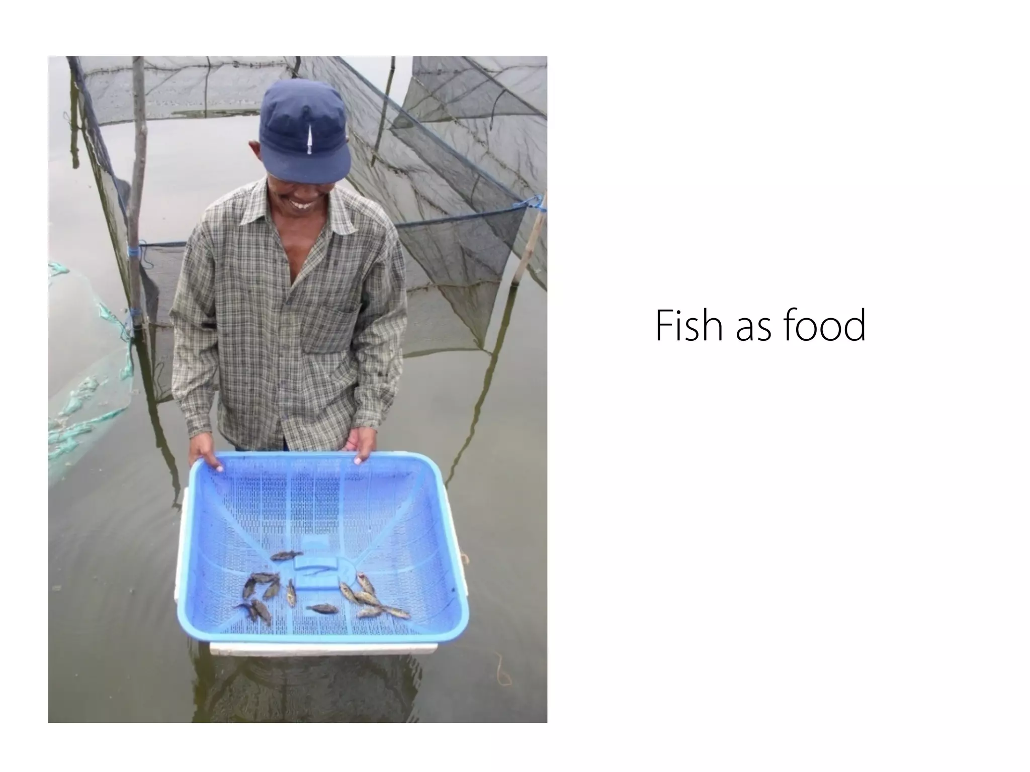 Sustainable development of fish supplies to meet food and nutrition security needs | PDF
