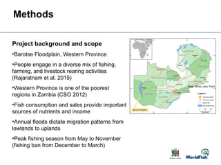 Gender transformative change along the capture fishery value chain ...