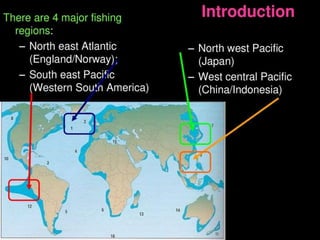 World Fishing.pptx