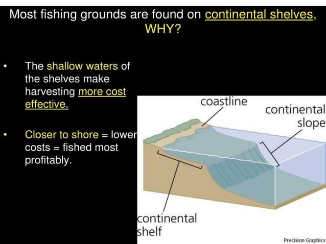 World Fishing.pptx | Geography | Science