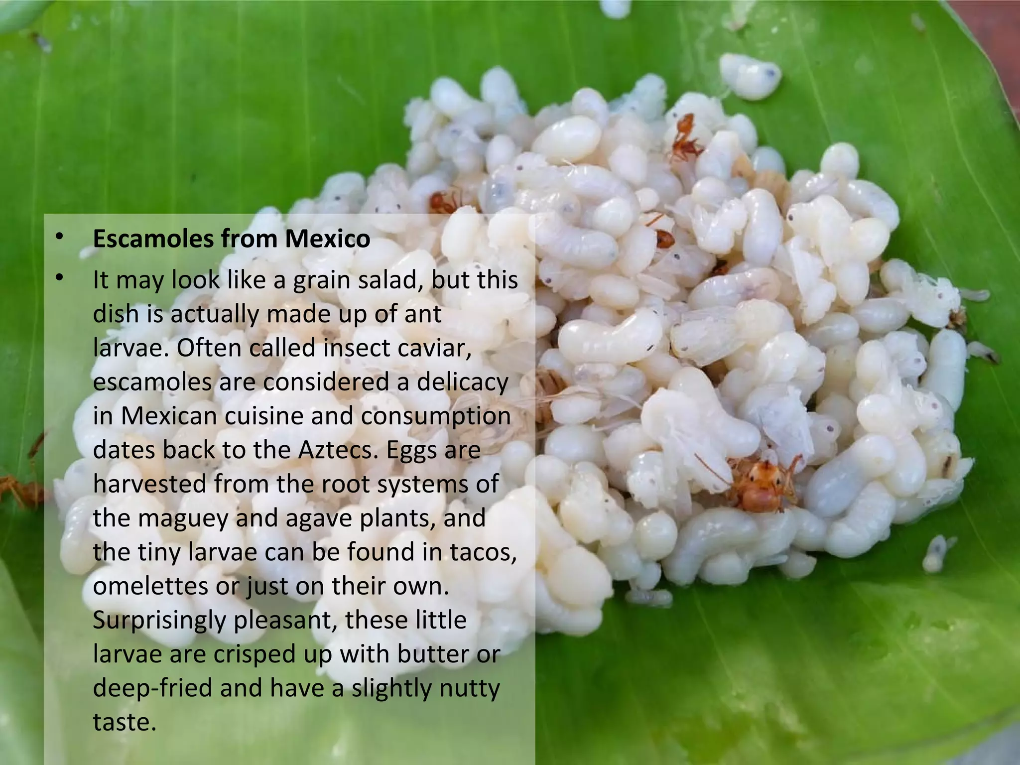 World food - Food from around the world | PPT