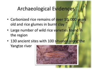 World food day presentation | PPTX | Agriculture | Industries