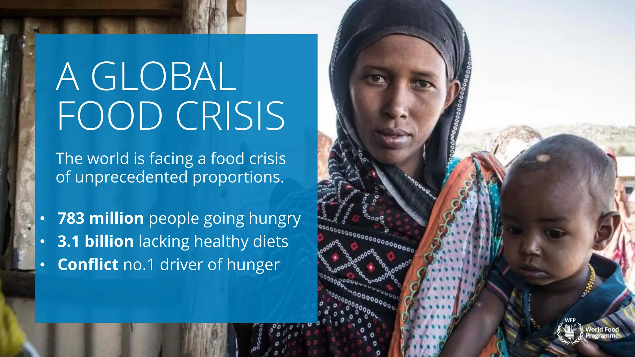 World Food Programme Introduction 22032024.pdf