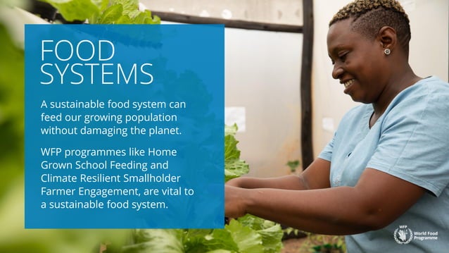 World Food Programme Introduction 22032024.pdf