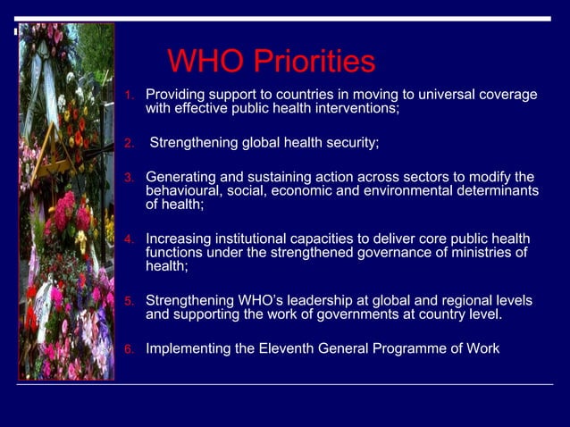 World health organization | PPT