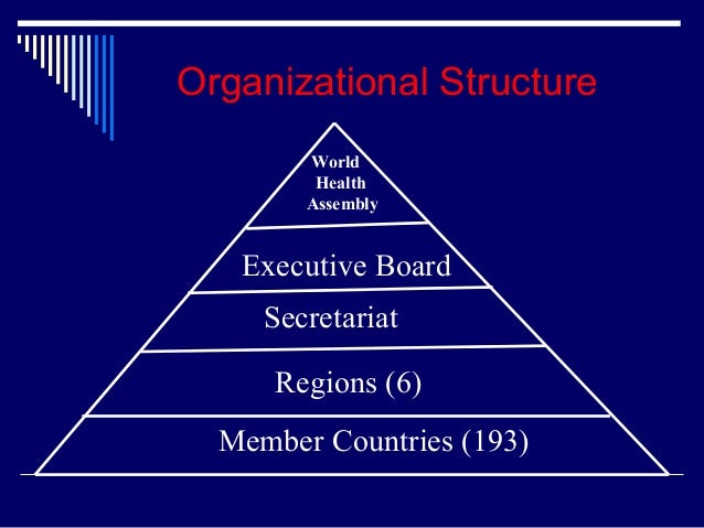 World health organization