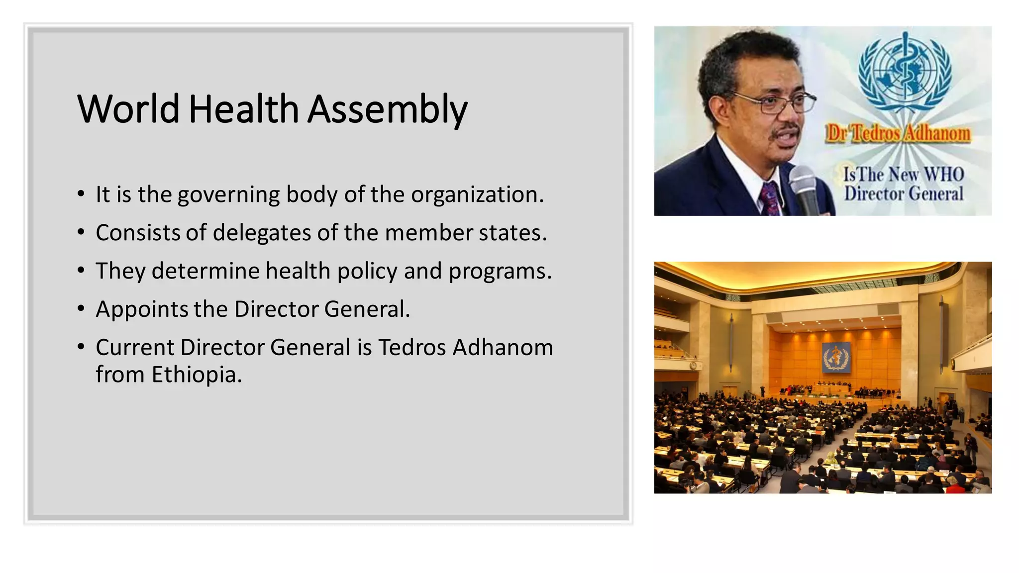 World health organization | PDF