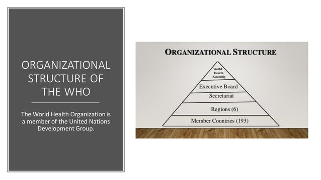 World health organization | PDF