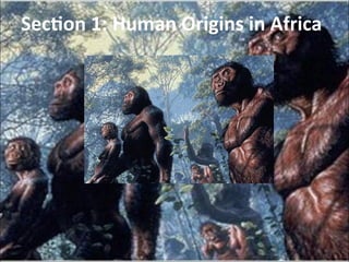 World History Chapter 1: Human Origins In Africa.pptx
