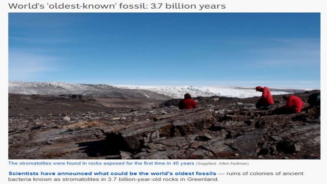 World History Intro | PPT