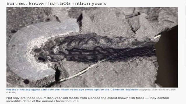 World History Intro | PPT