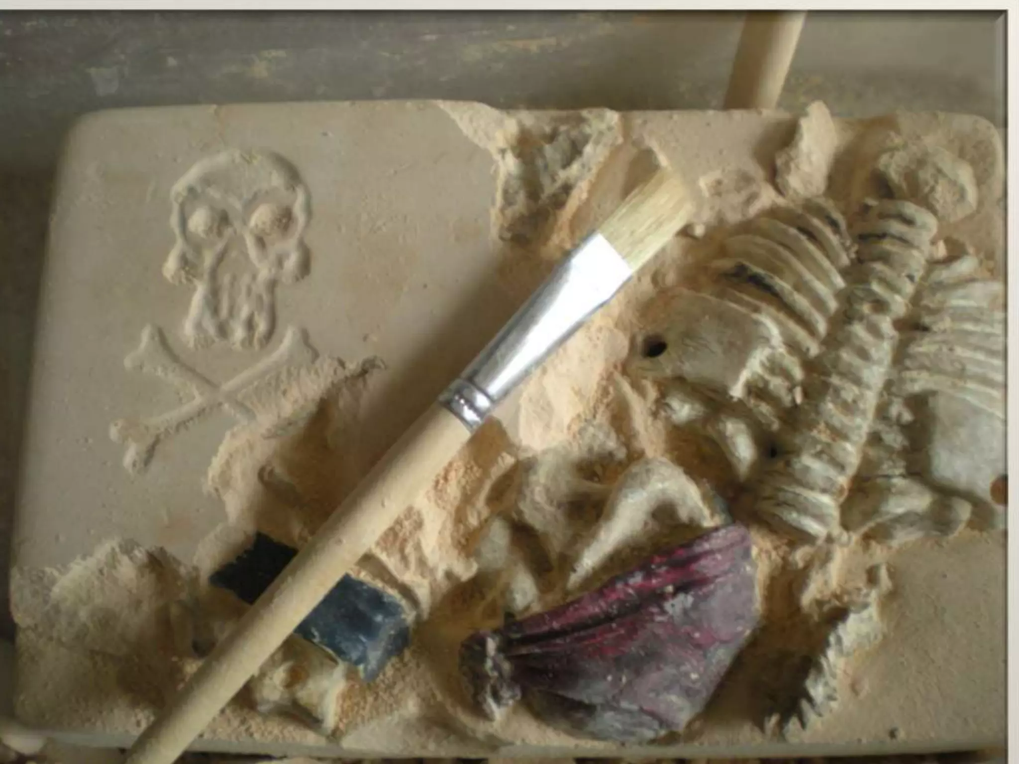 World History Visual Essay | PPTX