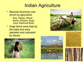 AP World India 3 Mauryan | PPT