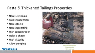 Examples of World Iron ore Tailings Surface Stacks | PPTX