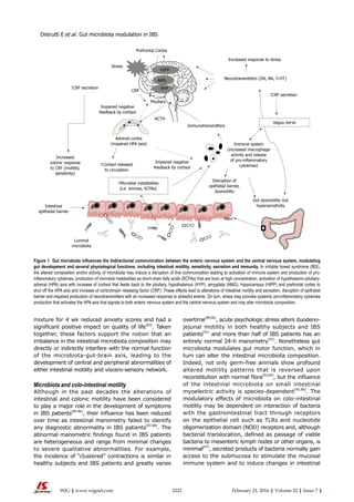 Restoring Gut Microbiome Health Is a New Strategy to Reverse Irritable ...