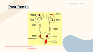 Renal Failure Disease | PPTX