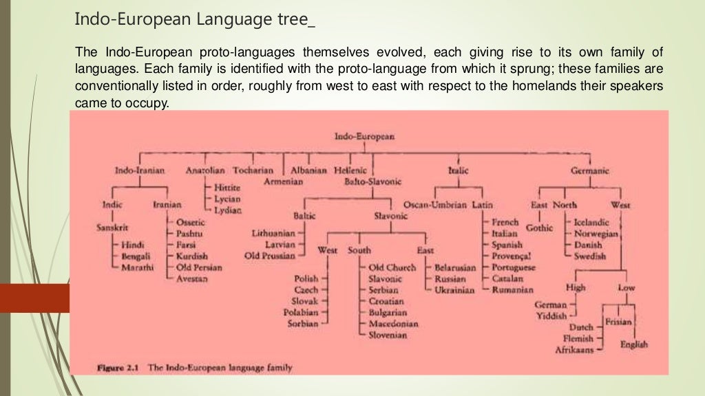 Presentation On World Language Regions