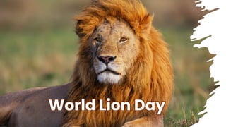 ASIATIC LION BIOLOGY HABITAT REPRODUCTION PRESENTATION | PPTX