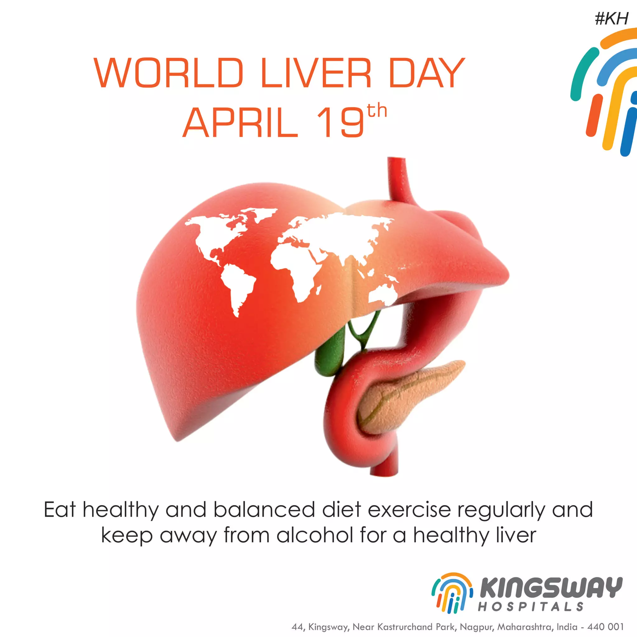 World Liver Day | PDF